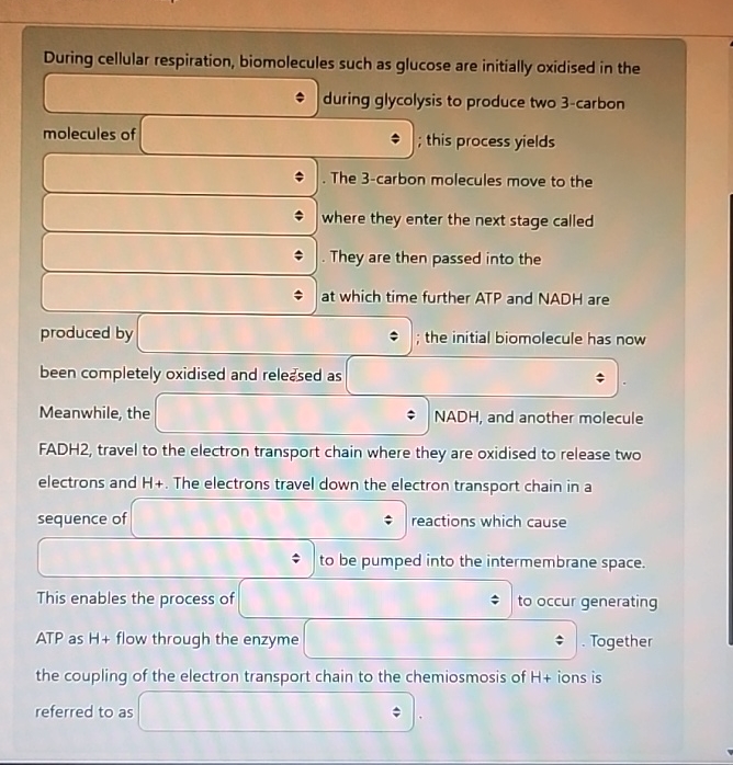 Solved During cellular respiration, biomolecules such as | Chegg.com