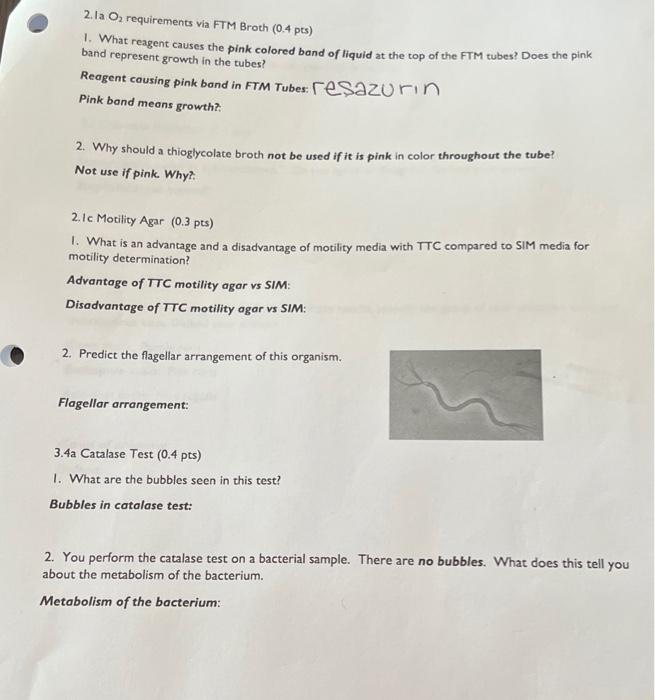 Solved 2. la O₂ requirements via FTM Broth (0.4 pts) 1. What | Chegg.com