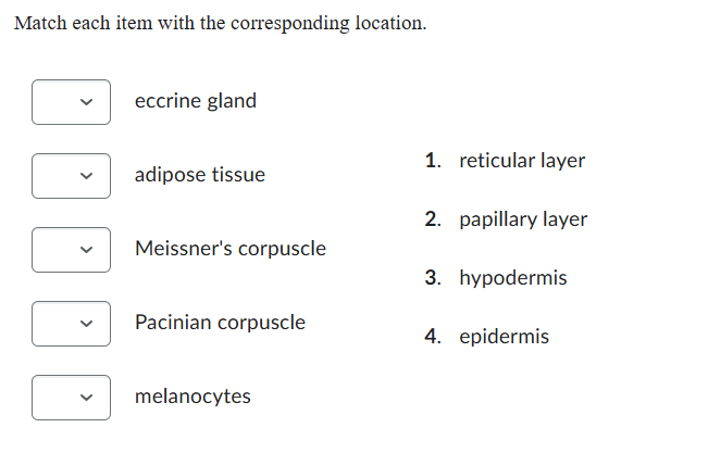 Solved Match each item with the corresponding | Chegg.com
