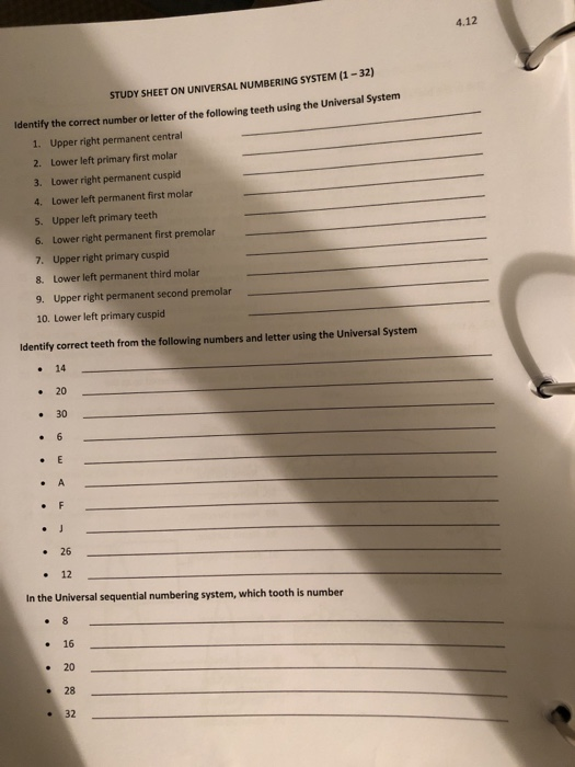 Solved STUDY SHEET ON UNIVERSAL NUMBERING SYSTEM (1 - 32) | Chegg.com