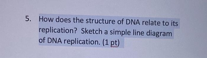 Solved 5. How does the structure of DNA relate to its | Chegg.com