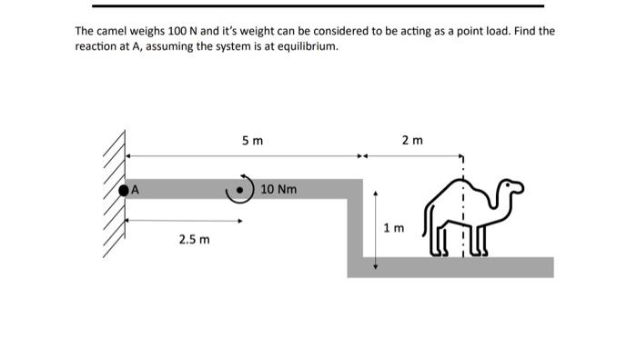 Solved The camel weighs 100 N and it's weight can be | Chegg.com
