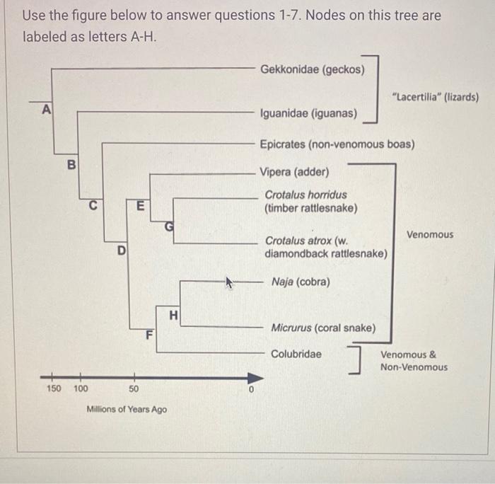 Solved Use the figure below to answer questions 1-7. Nodes | Chegg.com
