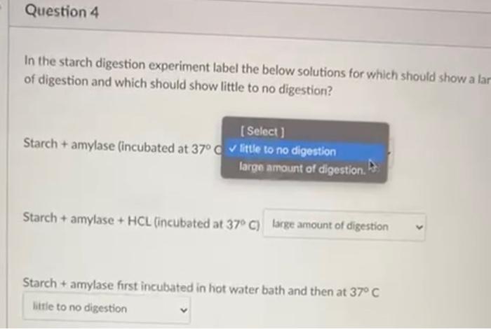 Solved Question 4 In the starch digestion experiment label | Chegg.com