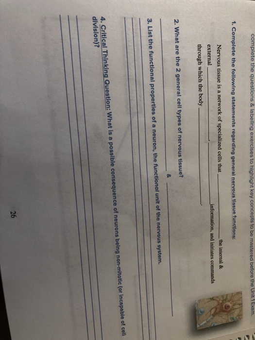 Solved complete the questions & labeling exercises to | Chegg.com