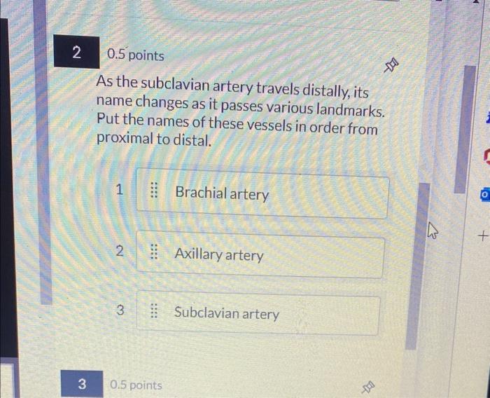 Solved Match each vessel indicated in this image with the | Chegg.com