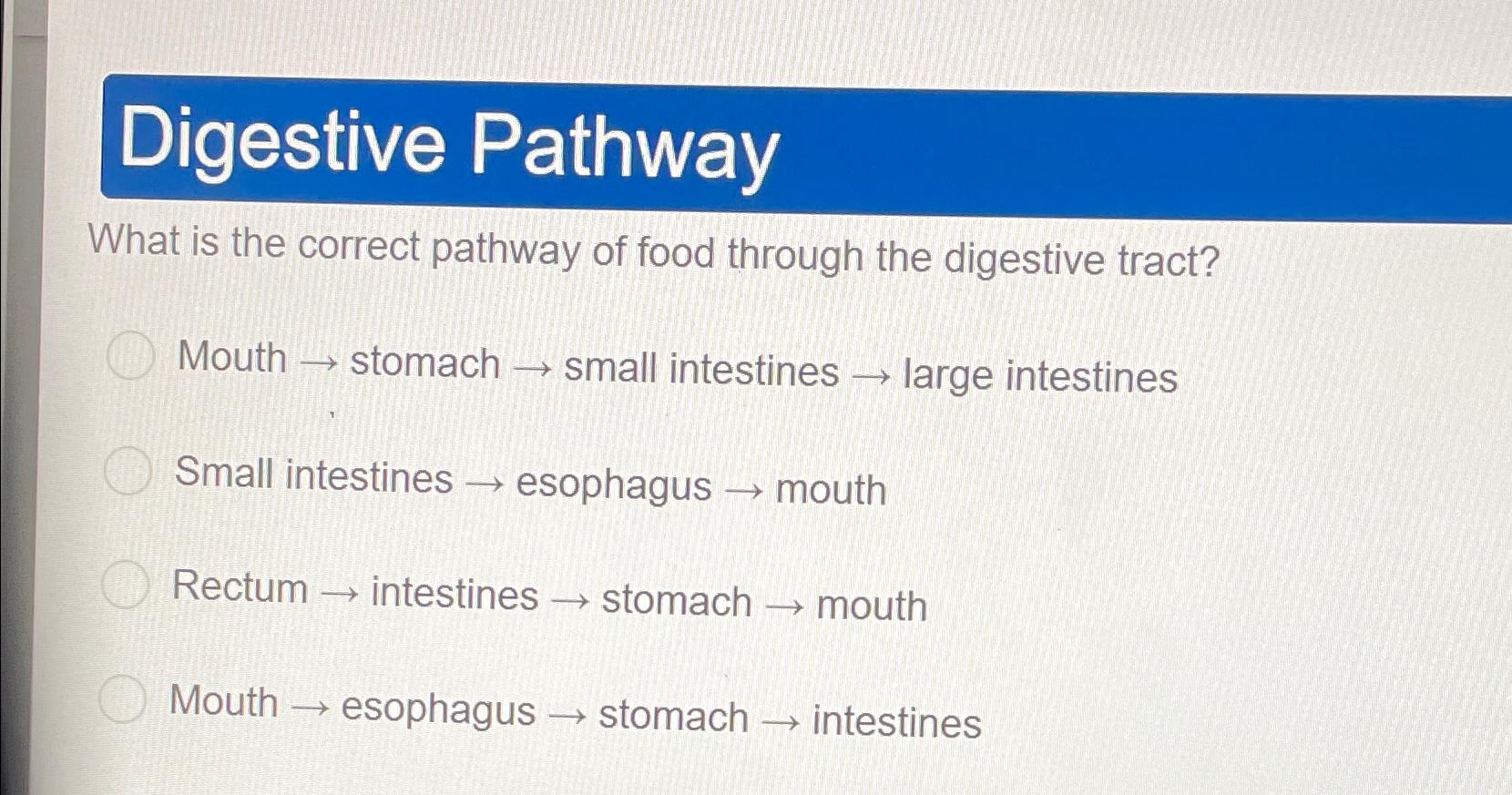 Solved Digestive PathwayWhat is the correct pathway of food | Chegg.com