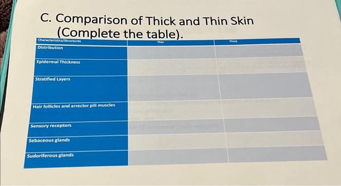 Solved C. Comparison of Thick and Thin Skin (Complete the | Chegg.com