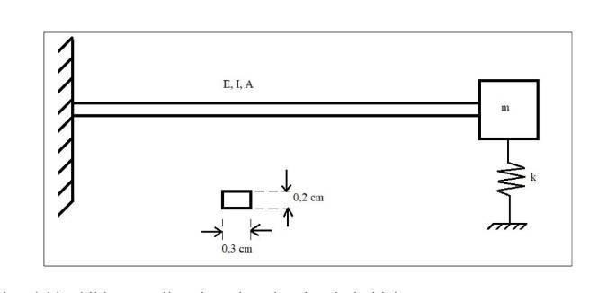 Solved (For transverse vibrations of the system shown in the | Chegg.com