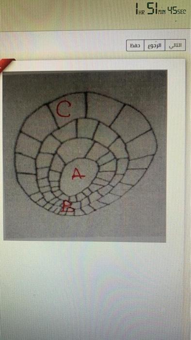 Solved As in the hachuring figure of the project | Chegg.com