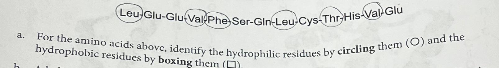 Solved Leu-Glu-Glu-Val Phe-Ser-GIn-Leu-Cys-Thr-His-Val-Glua. | Chegg.com