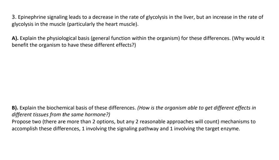 Solved 3. Epinephrine signaling leads to a decrease in the | Chegg.com