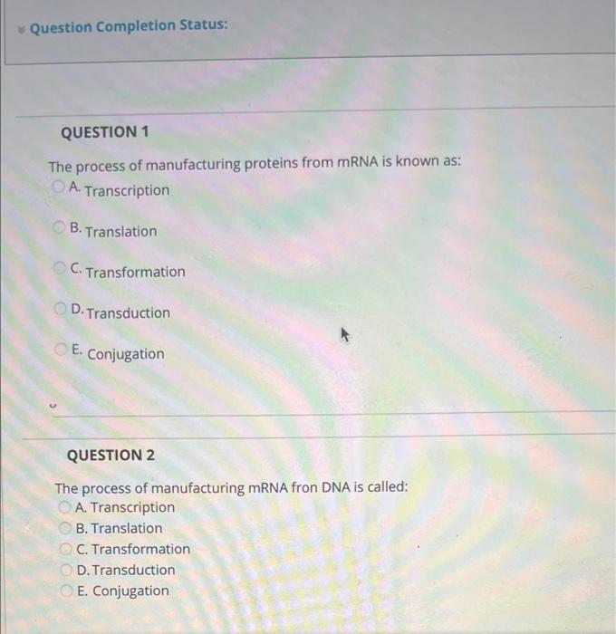 The process of manufacturing proteins from mRNA is | Chegg.com