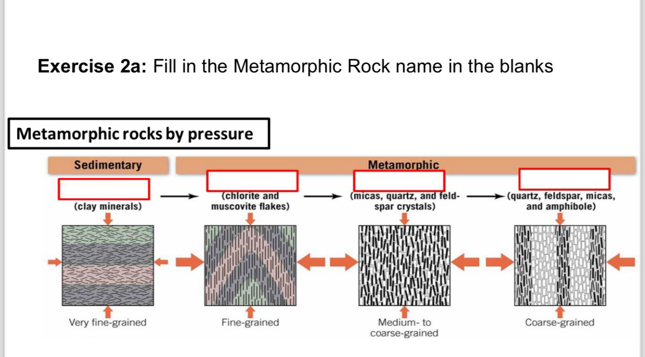 Solved Exercise 2a: Fill in the Metamorphic Rock name in the | Chegg.com