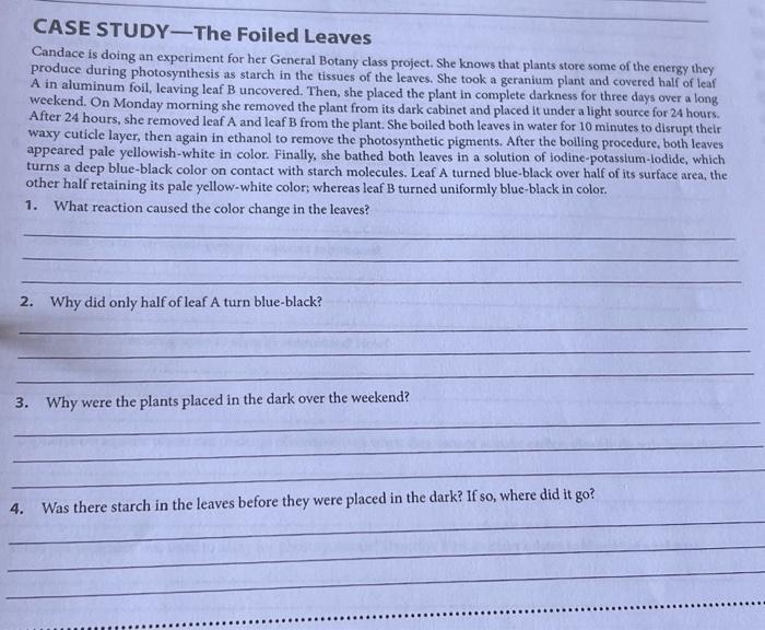 Solved CASE STUDY-The Foiled Leaves Candace is doing an | Chegg.com