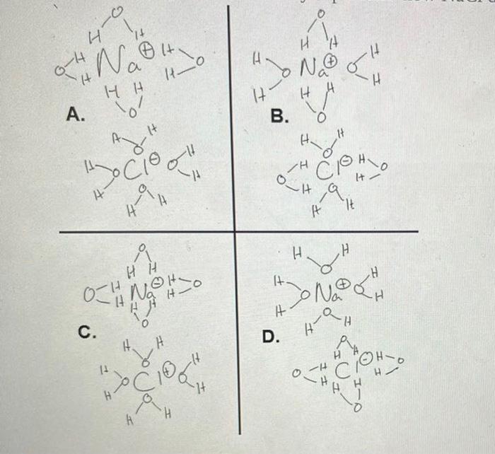 Solved Which drawing below correctly represents how NaCl | Chegg.com