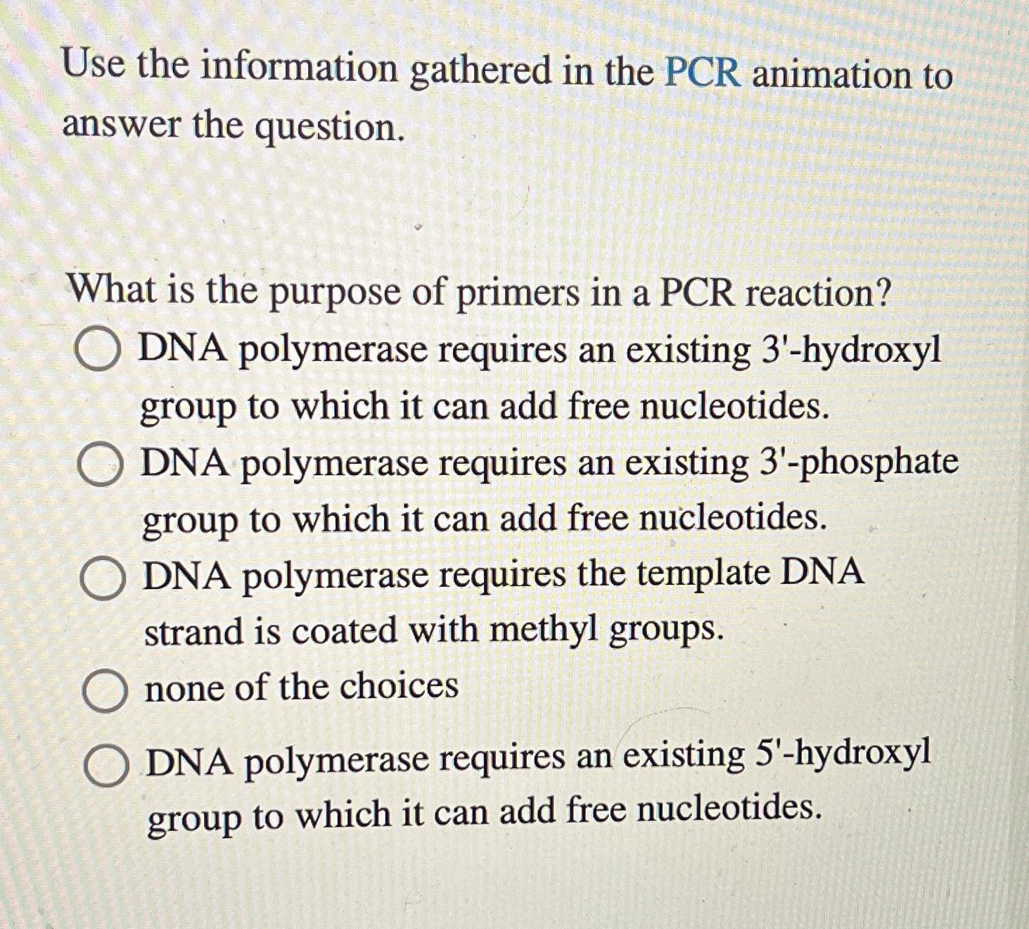 Solved Use the information gathered in the PCR animation to | Chegg.com