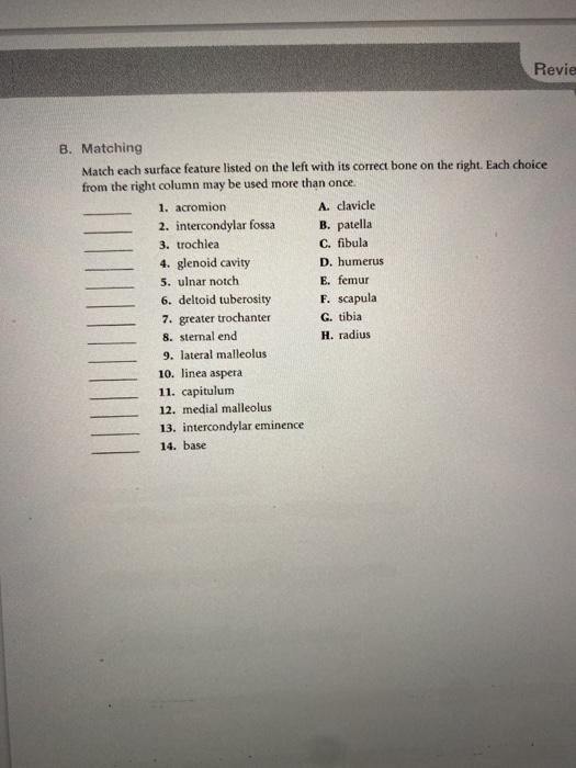 Solved Review & Prac Exei B. Matching Match each surface | Chegg.com