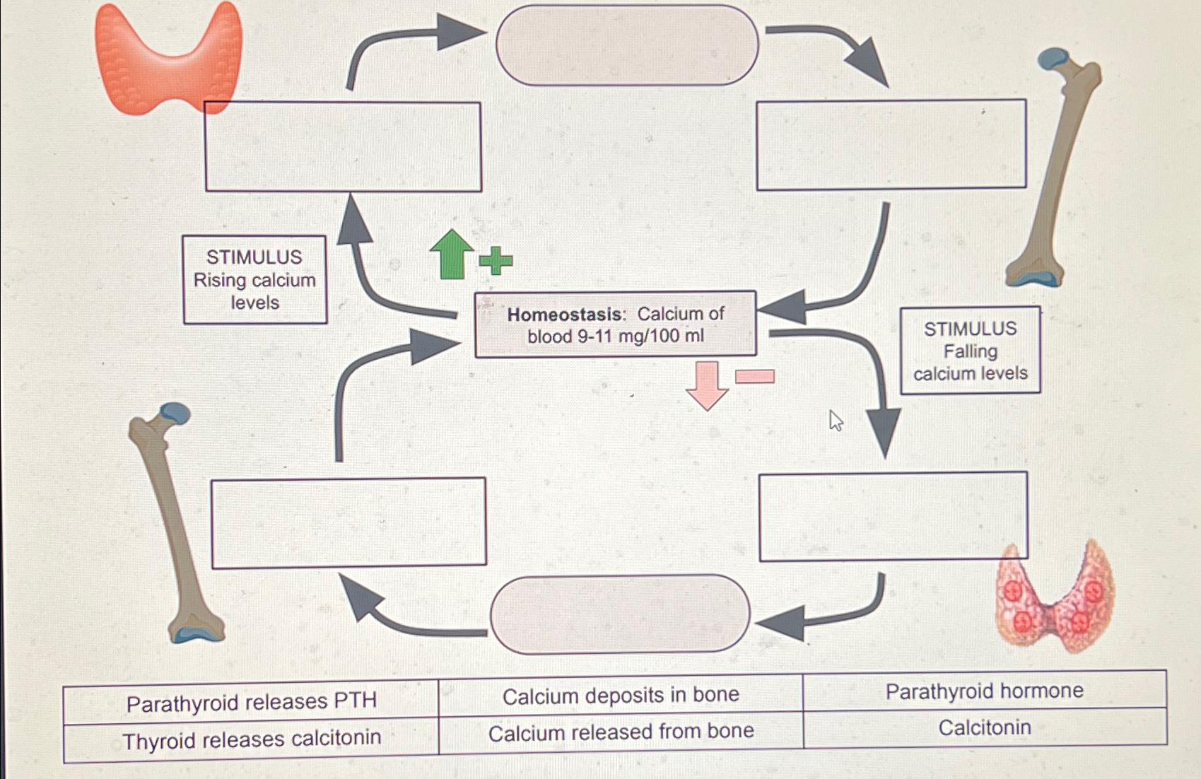 Solved please fill in the boxes from the options below | Chegg.com