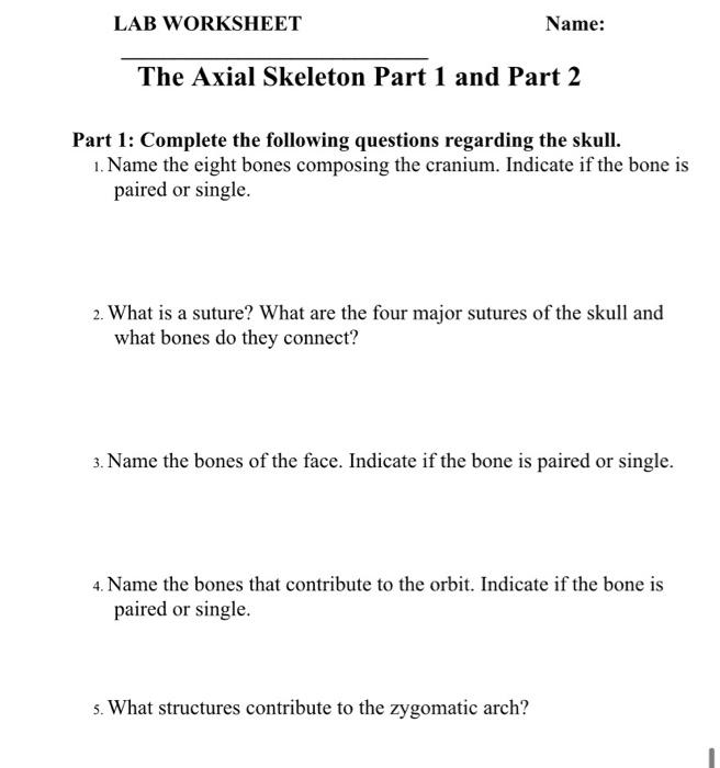 Solved LAB WORKSHEET Name: The Axial Skeleton Part 1 and | Chegg.com