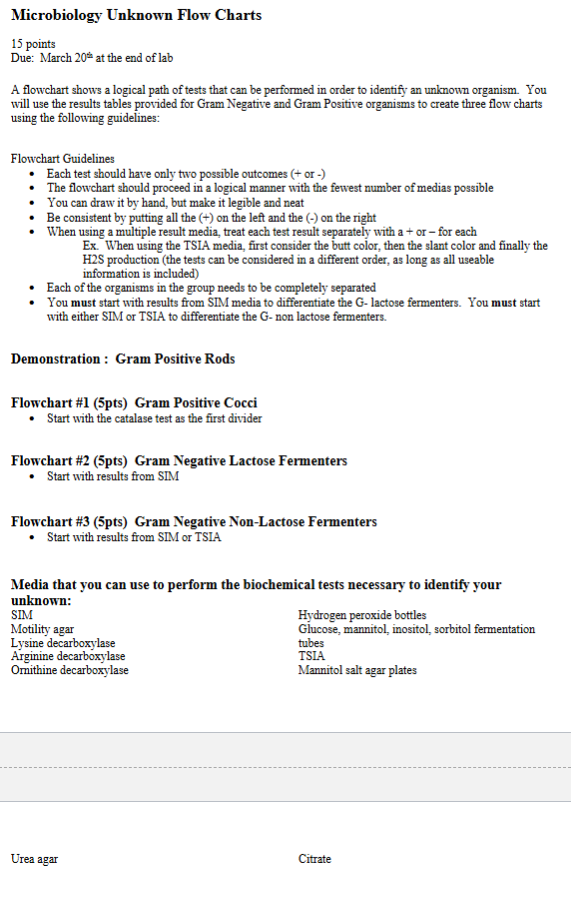Solved Microbiology Unknown Flow Charts A flowchart shows a | Chegg.com