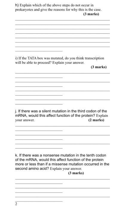 Solved Task Consider the DNA sequence given on the next page | Chegg.com