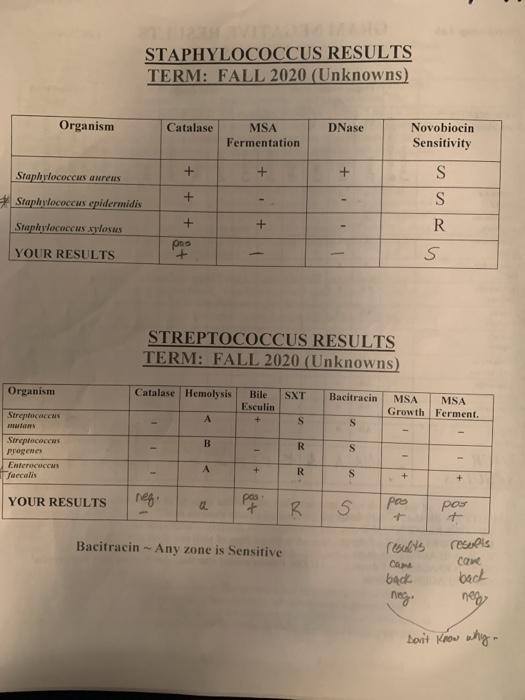 I need help writing an unknown lab report. The | Chegg.com