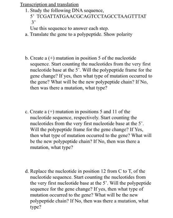 Solved Transcription and translation 1. Study the following | Chegg.com