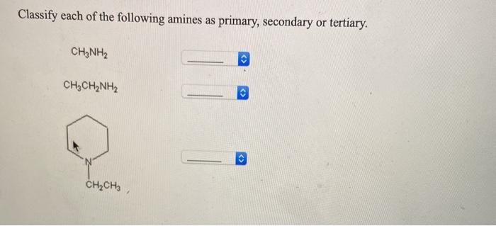 Solved Classify each of the following amines as (1) primary, | Chegg.com