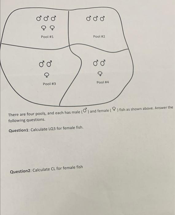 Solved bove. Answer the There are four pools, following | Chegg.com