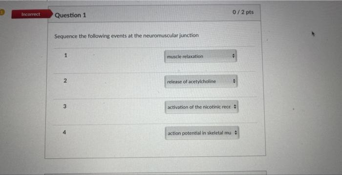Solved Sequence the following events at the neuromuscular | Chegg.com