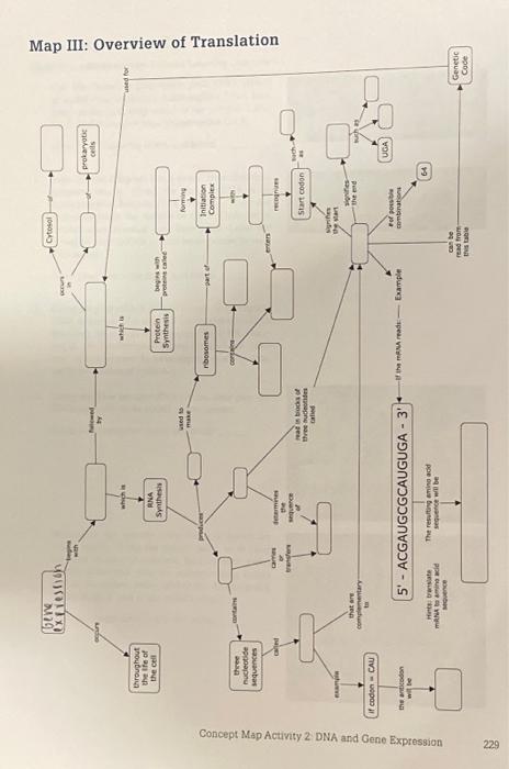Solved 229 Concept Map Activity 2: DNA and Gene Expression | Chegg.com