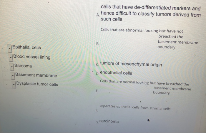 Solved cells that have de-differentiated markers and hence | Chegg.com