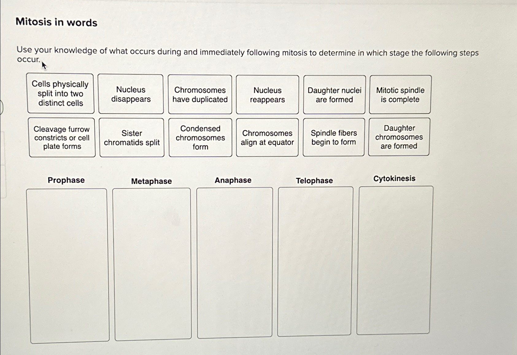 Solved Mitosis in wordsUse your knowledge of what occurs | Chegg.com