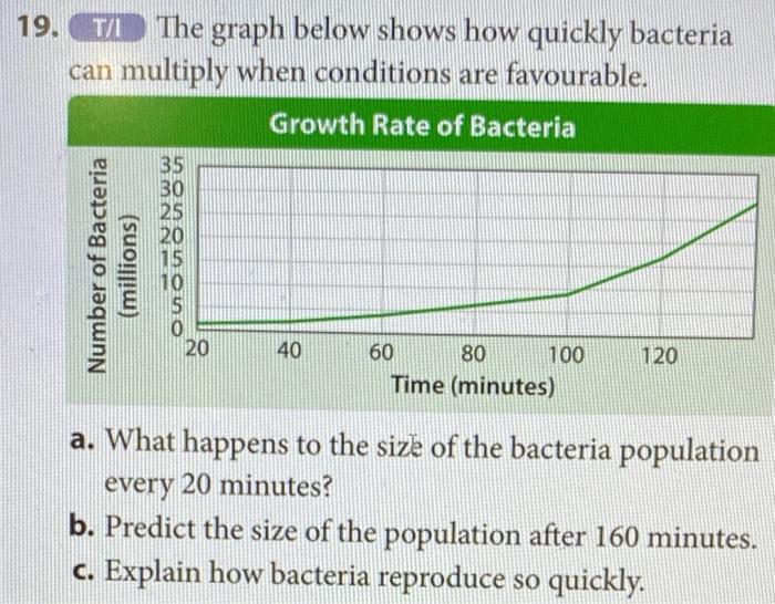 Solved 19. T The graph below shows how quickly bacteria can | Chegg.com