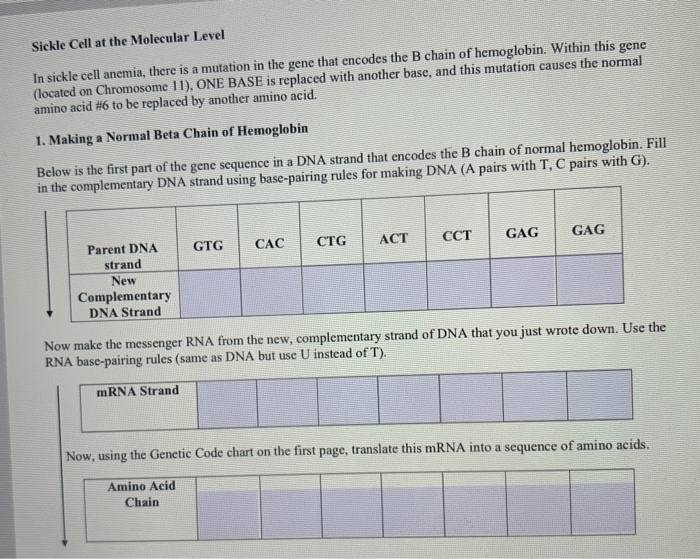 Solved Sickle Cell at the Molecular Level In sickle cell | Chegg.com