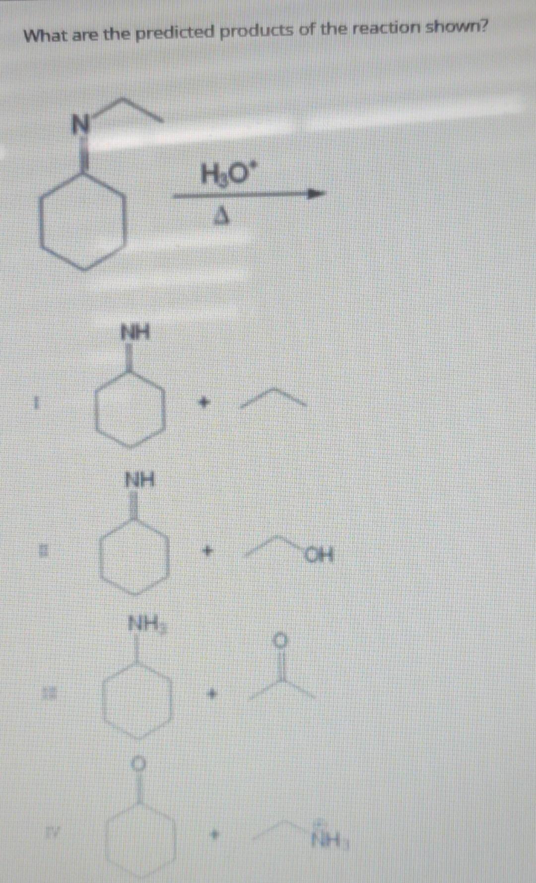 Solved What are the predicted products of the reaction | Chegg.com