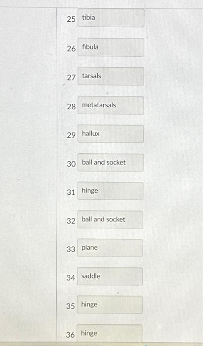 Solved 25 26 27 28 29 3C 31 32 33 34 35 361 2 3 4 5 10 11 | Chegg.com