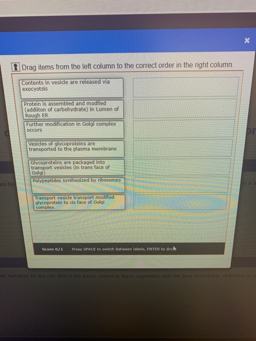 Solved Drag items from the left column to the correct order | Chegg.com
