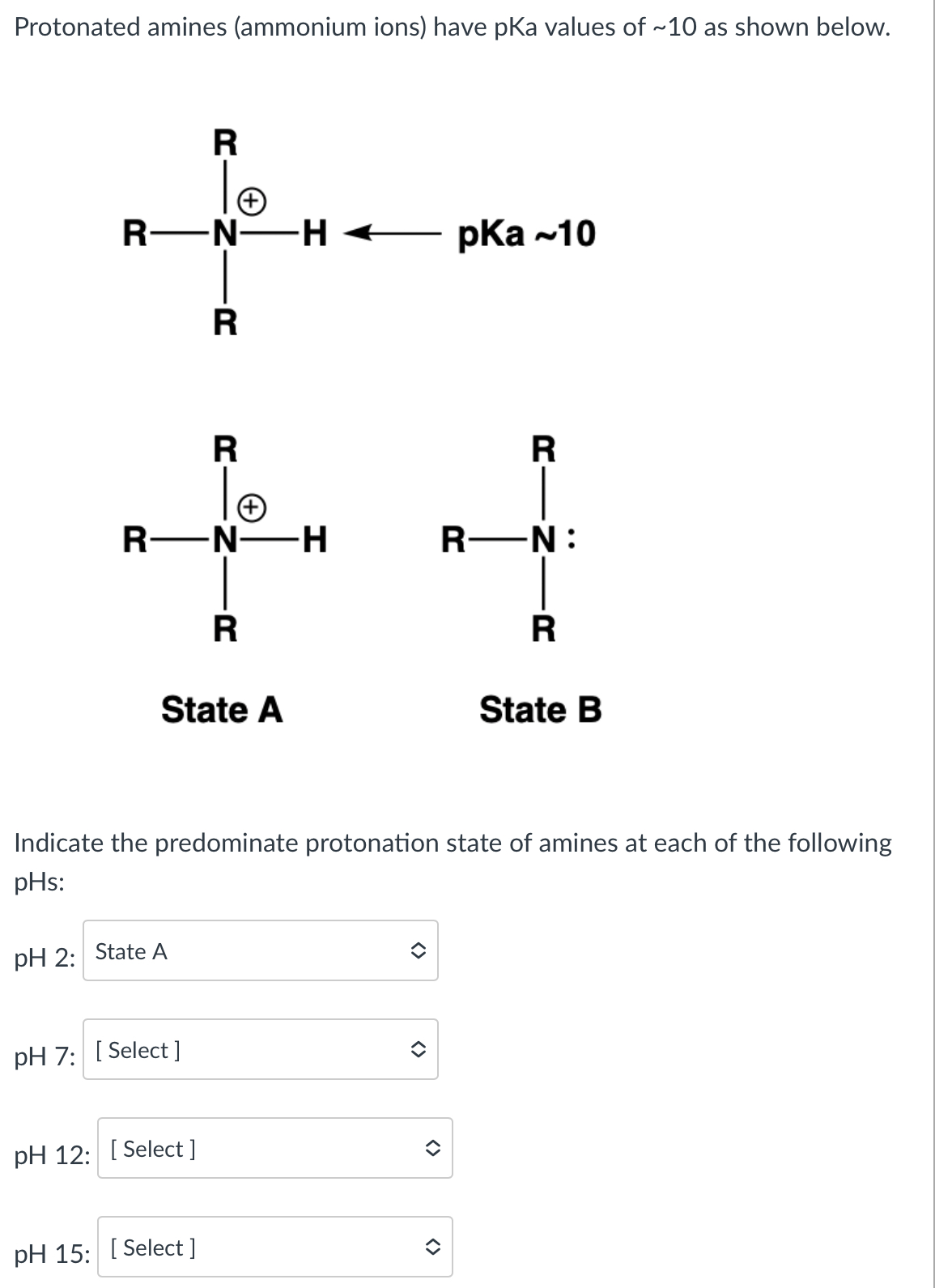 Solved Protonated amines (ammonium ions) ﻿have pKa values of | Chegg.com