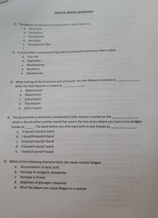 Solved SKELETAL MUSCLE WORKSHEET 1) The plasma membrane of a | Chegg.com
