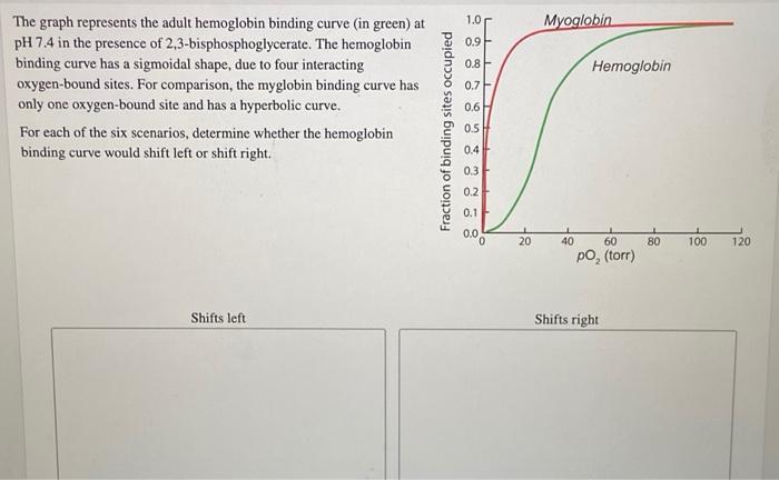 Solved 1.00 Myoglobin 0.9 0.8 Hemoglobin The graph | Chegg.com