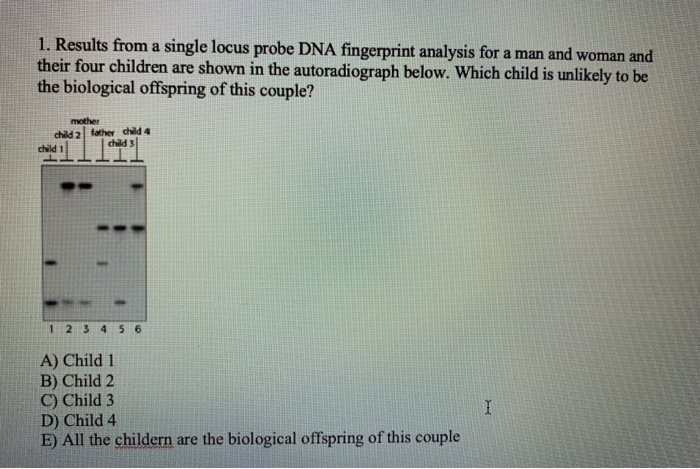 Solved 1. Results from a single locus probe DNA fingerprint | Chegg.com