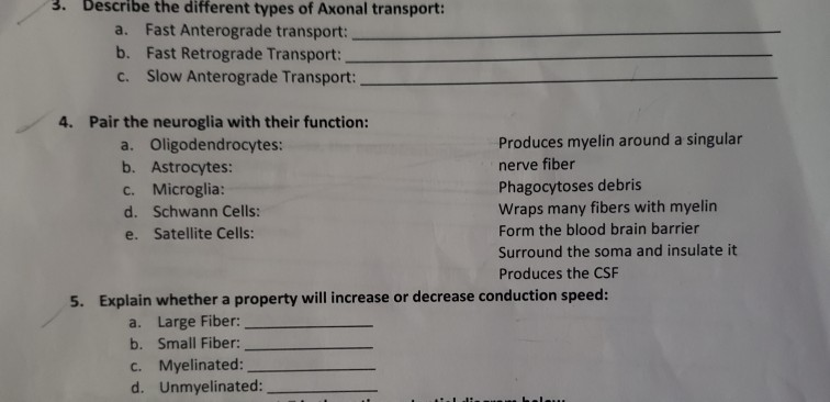 Solved 3. Describe the different types of Axonal transport: | Chegg.com