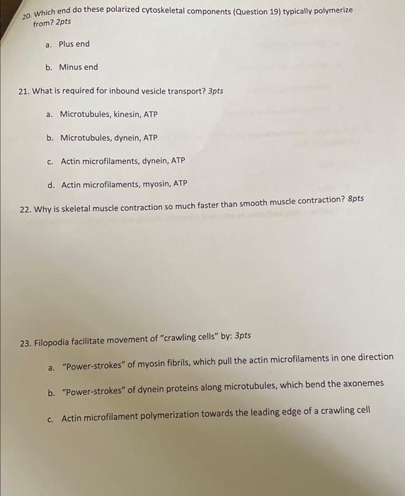 Solved 20. Which end do these polarized cytoskeletal | Chegg.com