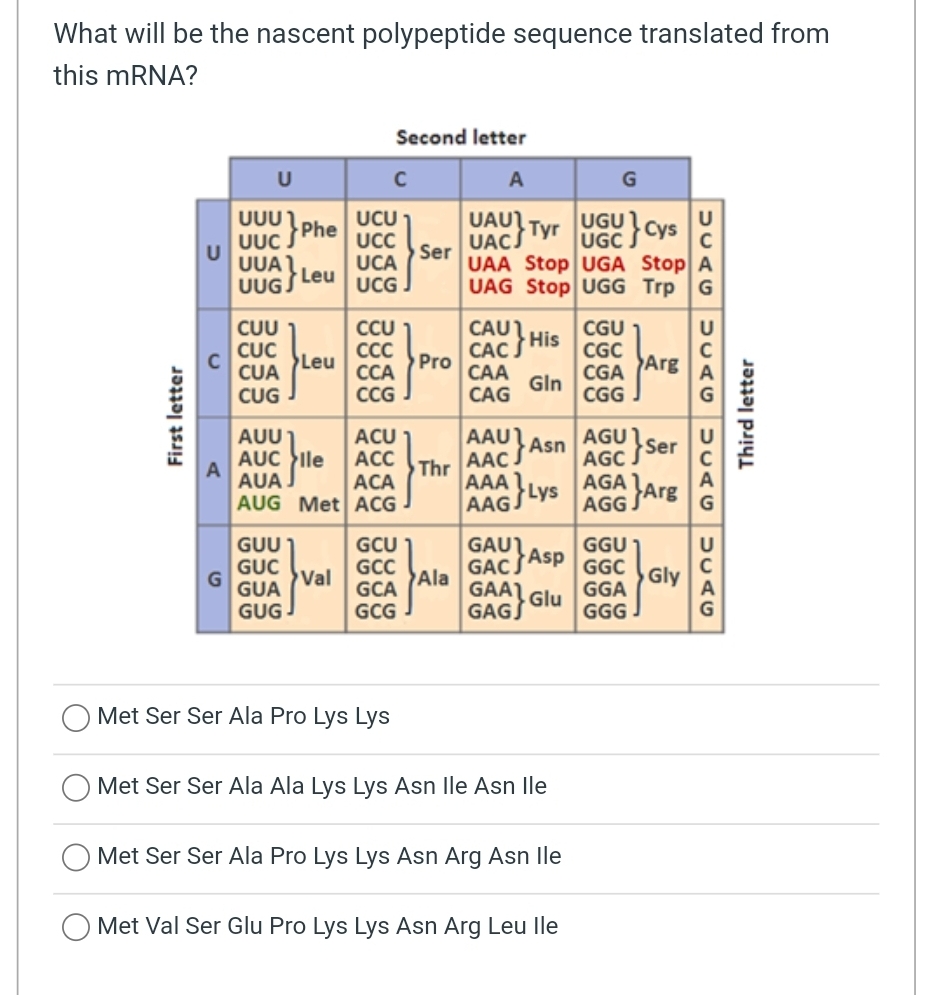 Solved What will be the nascent polypeptide sequence | Chegg.com