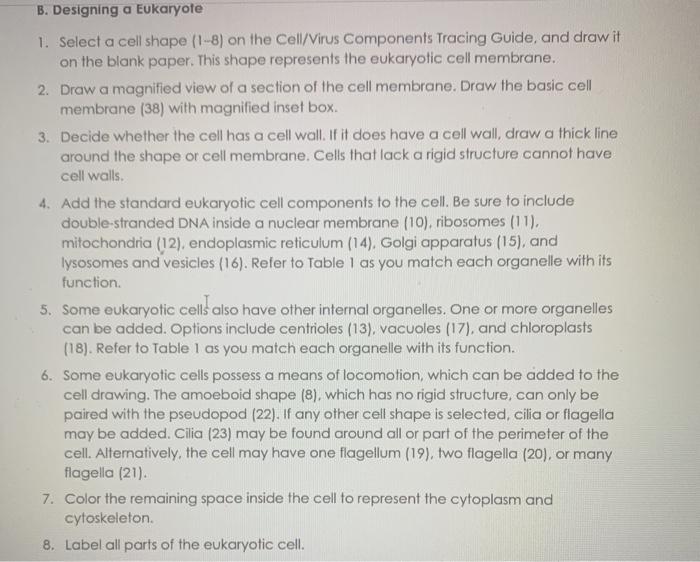 Solved B. Designing a Eukaryote 1. Select a cell shape (1-B) | Chegg.com