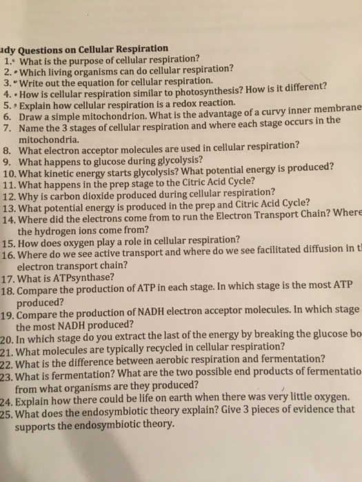 Solved udy Questions on Cellular Respiration 1. What is the | Chegg.com