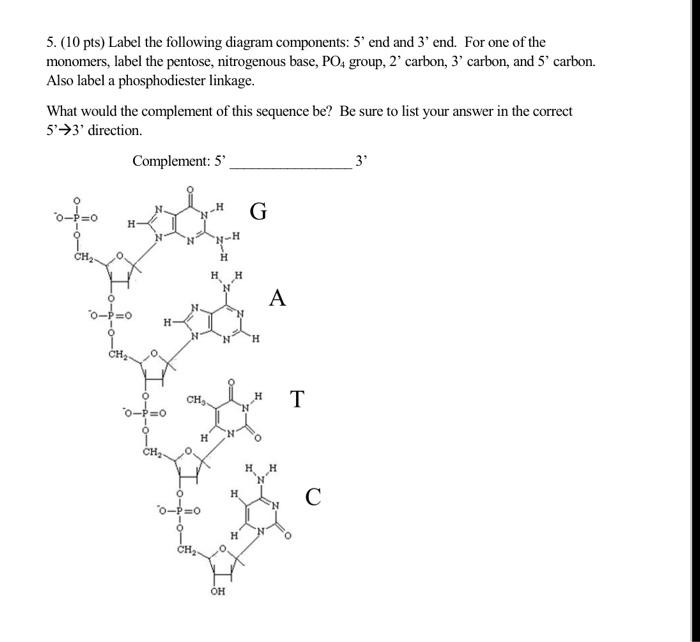 Solved 5. (10 pts) Label the following diagram components: | Chegg.com Solved 5. (10 pts) Label the following diagram components: | Chegg.com