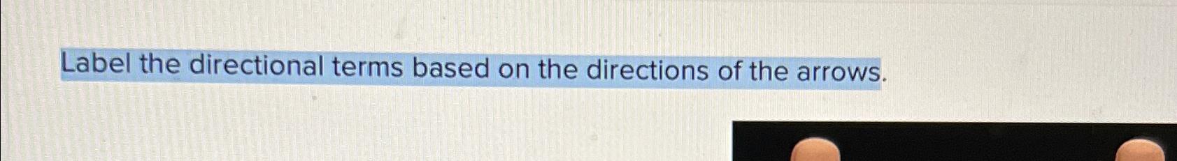 Solved Label the directional terms based on the directions | Chegg.com